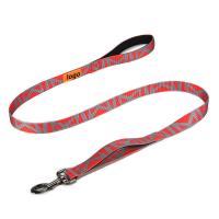 China Heavy Duty Classic Leashes Shock Absorbing Walking Training Nylon Dog Leash for sale