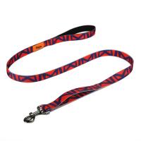 China Heavy Duty Classic Leashes Shock Absorbing Walking Training Nylon Dog Leash for sale