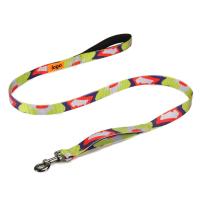China Heavy Duty Classic Leashes Shock Absorbing Walking Training Nylon Dog Leash for sale