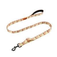 China Heavy Duty Classic Leashes Shock Absorbing Walking Training Nylon Dog Leash for sale