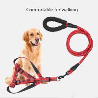 China Pet Chest Harness Adjustable Reflective Dog Walking Training Harness Rope Leash for sale