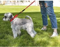 China Large Dog Durable Braided Nylon Reflective Soft Handle Dog Collar and Leash Set for sale