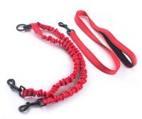 China Soft Padded  Upgrated Strong Durable Two In One Bungee Dog Leash For Two Dogs for sale