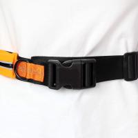 China Jogging Running Hiking Elastic Reflective Leash medium large size Handfree Waist Dog Leash for sale