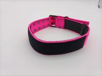 China Padded Adjustable Soft Nylon Neoprene Super Light Breathable Nylon Dog Collar for sale