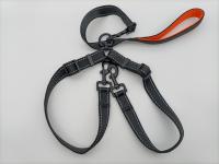 China Double Dog Lead Dual Leash Splitter 360 Swivel No Tangle Dog Leash for Two Dogs for sale