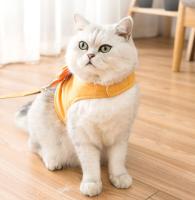 China Hot-Selling Outdoor Sports Cat Pet Supplies Dog Cat for sale