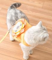 China Hot-Selling Outdoor Sports Cat Pet Supplies Dog Cat for sale