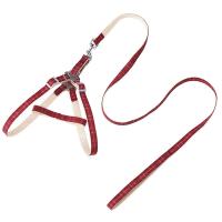 China Factory Direct Pet Supplies Dog Harness Guinness Dog Collar For Outdoor for sale