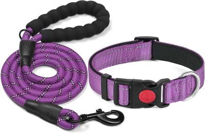 China Durable Reflective Soft Neoprene Padded Breathable Adjustable Nylon Dog Collars Leashes for sale