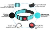 China Durable Reflective Soft Neoprene Padded Breathable Adjustable Nylon Dog Collars Leashes for sale