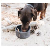 China Lightweight Collapsible Canvas Dog Interactive Toys For Easy Travel Waterproof Canvas Dog Bowl for sale