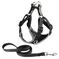 China Breathable Cat Harness Vest Type Dog Leash Wholesale New Style Pet Chest Harness for sale
