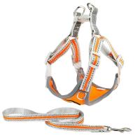 China Breathable Cat Harness Vest Type Dog Leash Wholesale New Style Pet Chest Harness for sale