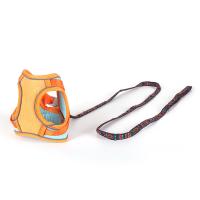 China Cat Anti-Break Away Reflective Vest Traction Rope Breathable Chest Harness for sale