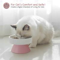 China Dual Cat Bowl Dog Interactive Toys Food Cat Feeding Bowl for sale