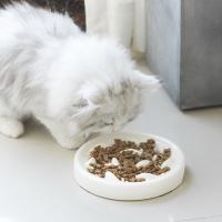 China Ceramic Plate Anti Chocking Slow Food Water Feed Dog Feeding Bowl for sale