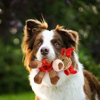 China AJ Pet Interactive Toy , Squeaky Stuffed Christmas Pet Food Leakage Toys for sale