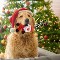 China IQ Training Dog Interactive Toys Natural Rubber Leakage Food Feeder Plush Chew Toy for sale
