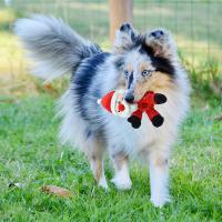 China IQ Training Dog Interactive Toys Natural Rubber Leakage Food Feeder Plush Chew Toy for sale