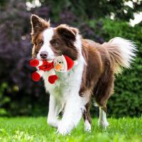 China Interactive Chew Stuffed Food Toys Sturdy Squeaky Puzzle Feeders Food Leakage Toys For Pets for sale