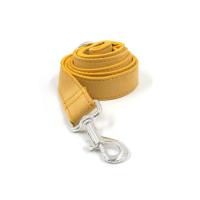 China Pet leash Strong pull outdoor dog leash Fashion and simple design dog leash for sale