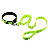 China Nylon Luminous Cat product Reflective Manufacturers Wholesale Pet Collars for sale