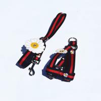 China New Arrivel Luxury Daisy Embroidery Design Classic Dog Leash Set For Small Medium Dog for sale