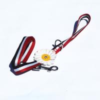 China New Arrivel Luxury Daisy Embroidery Design Classic Dog Leash Set For Small Medium Dog for sale