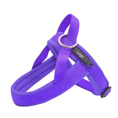 China Neoprene padded Nylon Comfortable Function Professional Pet Harness Leash Set for sale
