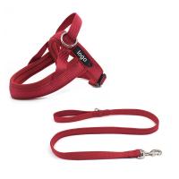 China Neoprene padded Nylon Comfortable Function Professional Pet Harness Leash Set for sale