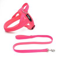 China Neoprene padded Nylon Comfortable Function Professional Pet Harness Leash Set for sale