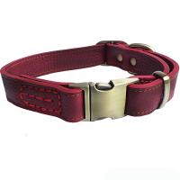 China All Seasons Pet Collar Leash Nylon Material With Leather Buckle for sale