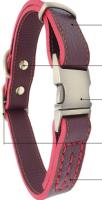 China All Seasons Pet Collar Leash Nylon Material With Leather Buckle for sale