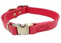 China All Seasons Pet Collar Leash Nylon Material With Leather Buckle for sale
