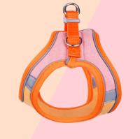 China Nylon Daily Necessities Pet Collar Leash Luminous 6 Color for sale