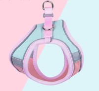China Nylon Daily Necessities Pet Collar Leash Luminous 6 Color for sale