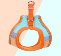 China Nylon Daily Necessities Pet Collar Leash Luminous 6 Color for sale