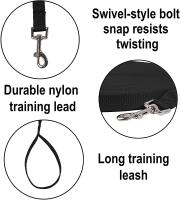 China Quick Release puppy leash Long-Distance 1 inch wide 6 ft Long Dog Training leash for sale