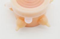 China Silicone Puppy Nipple Feeder 5 Nipples Puppy Kitten Pet Milk Bowl Feeder Puppy Feeder for sale