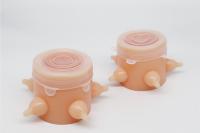 China Silicone 5 Nipple Self Feeding Bowl ,Silicone Puppy Milk Feeder for sale