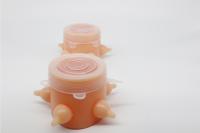 China Self Feeding Silicon Five Pacifiers , Dog Pet Supplies Puppy Feeder for sale
