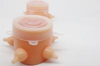 China Self Feeding Silicon Five Pacifiers , Dog Pet Supplies Puppy Feeder for sale