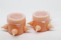 China Anti Flatulence 5 Nipples Self Feeding Milk Bowl , AJ Silicon Puppy Feeder for sale