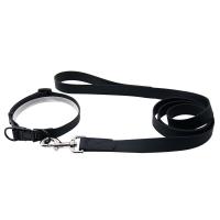 China Holiday Pet Collar PVC Waterproof Leash , Soft Adjustable Dog Collar Leash Leash for sale