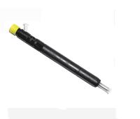 China Diesel Fuel Injector For EJBR04701D A6640170221 for sale