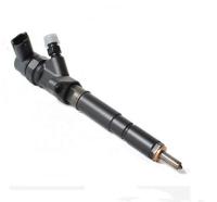 China 0445110070 Diesel common rail fuel injector 0445 110 070 for sale