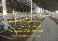 China Hot Dip Galvanizing Tie Free Stall Dairy Barns Cow Farm Equipment Parts for sale