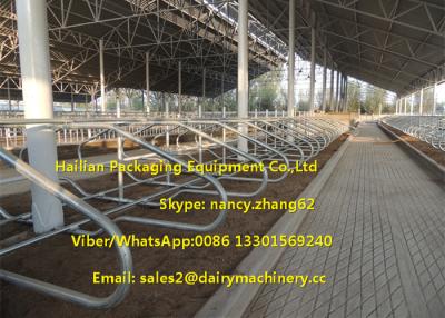 China Hot Dip Galvanizing Tie Free Stall Dairy Barns Cow Farm Equipment Parts for sale