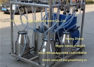 China HL-G01 Cow Herringbone Milking Parlor System with 28L Glass Milk Recorder for sale